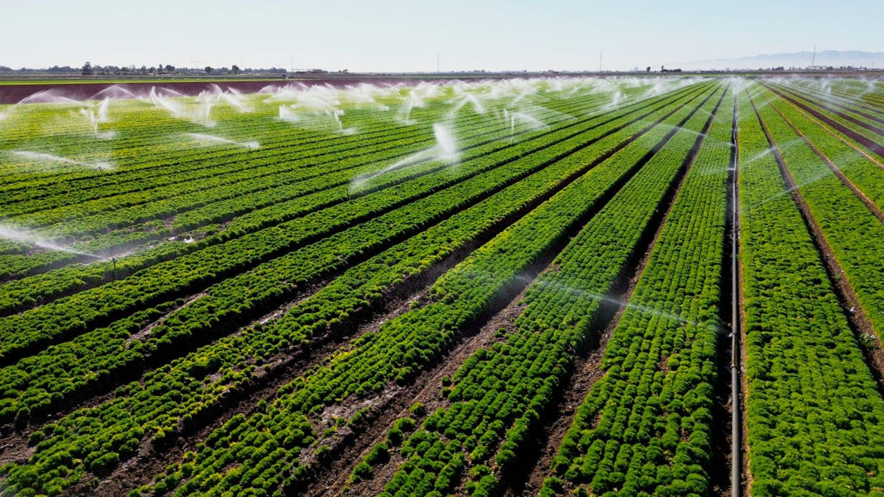 Prominent California farming mogul's wife found dead in Arizona amid ...