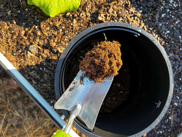 The best electric composters for recycling food waste, tested
