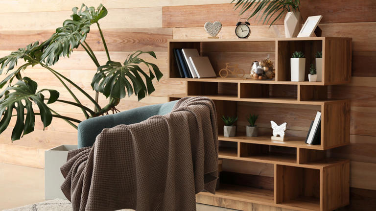The low-maintenance houseplant that lives happily with little light on ...