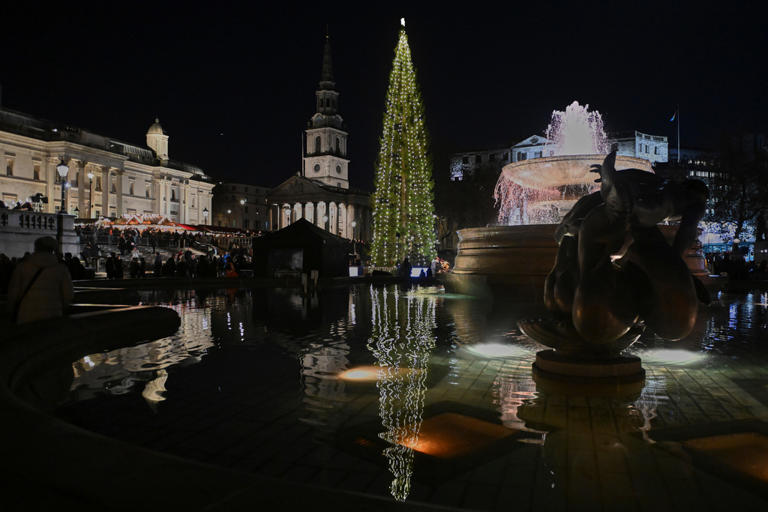Norway donates a Christmas tree to London every year. Here's how the ...