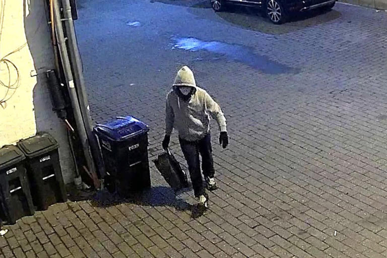 Accused DC pipe-bomber Brian Cole Jr.’s arrest came after Trump admin ...