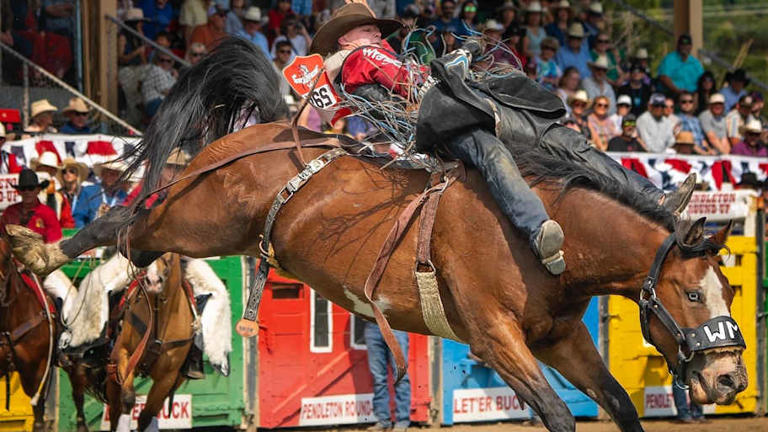 Best world all-around race in recent years set to kick off with Schalla ...