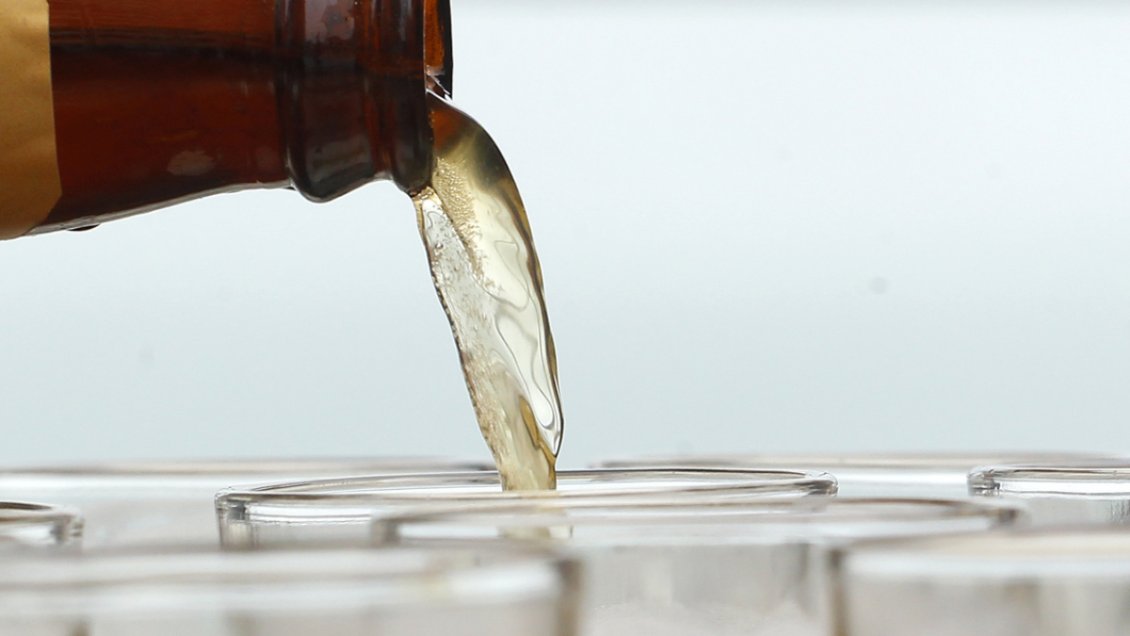 Senda: Consumo de alcohol en Chile llegó a su nivel más bajo en 30 años
