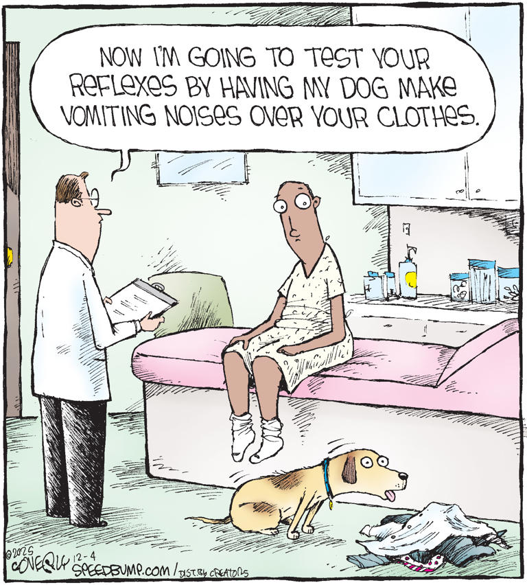 LightWave Reports Daily comic strips (12/4)