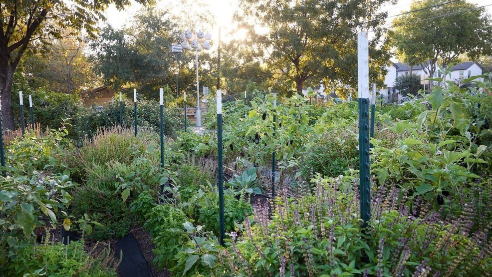 Linn County Master Gardeners open registration for 2026 Winter ...