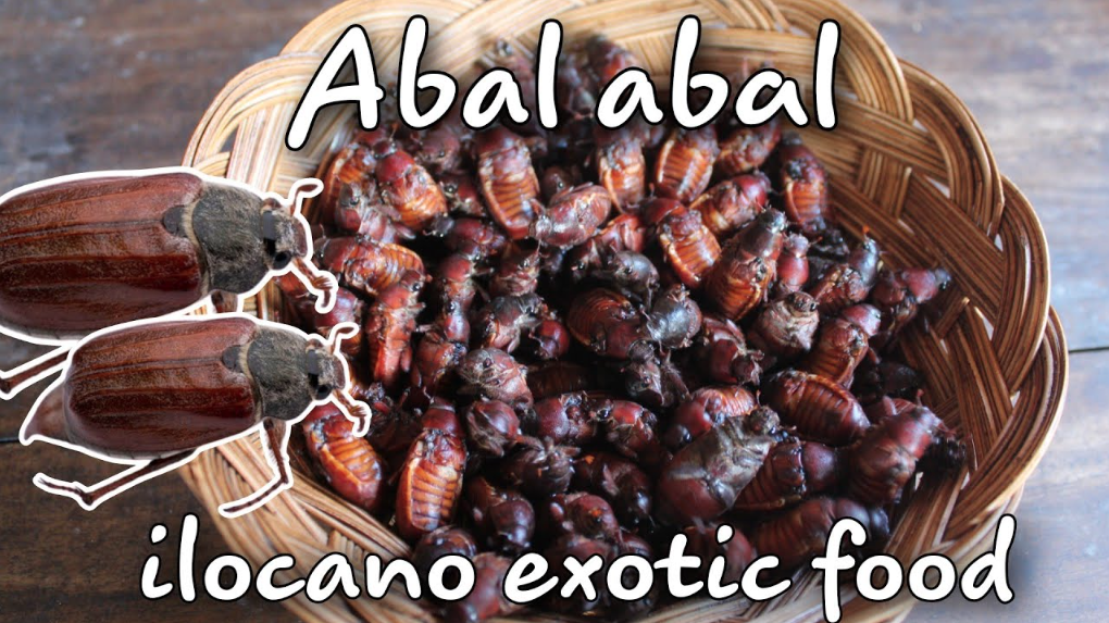 Filipino seafood adventure: Catching & cooking abal-abal in Ilocos