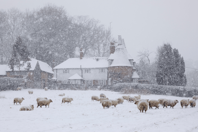 Mark this date in your diaries – weather maps predict 21 hours of snow ...
