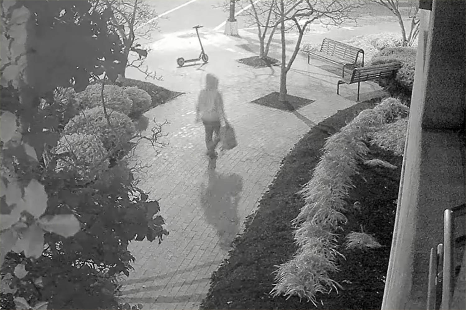 What we know about the suspect in January 2021 DC pipe bomb case, DOJ says