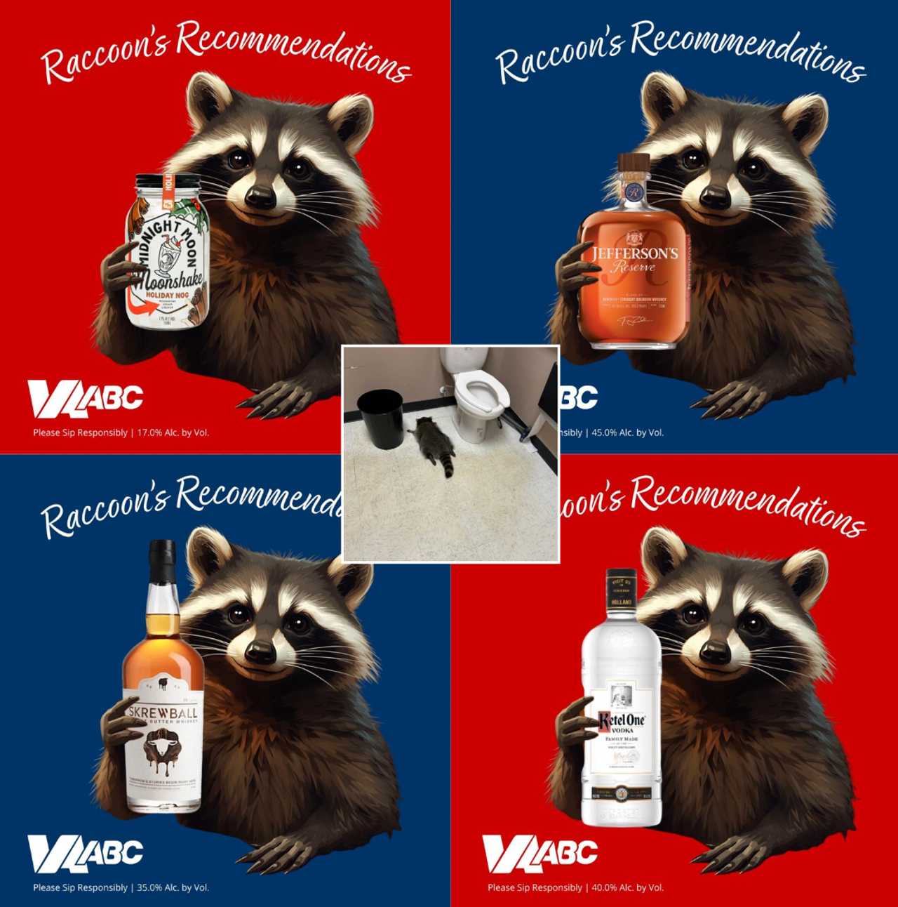 Virginia’s viral drunk raccoon is back—and now he’s telling you what ...