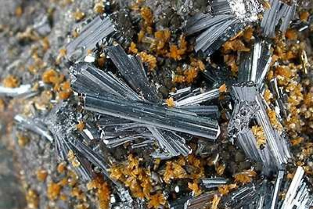 ¿Quién es Zulma Guzmán, la empresaria buscada por la muerte de dos ...