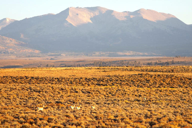 BLM’s heated Rock Springs plan took 12 years to finish. Now the feds ...