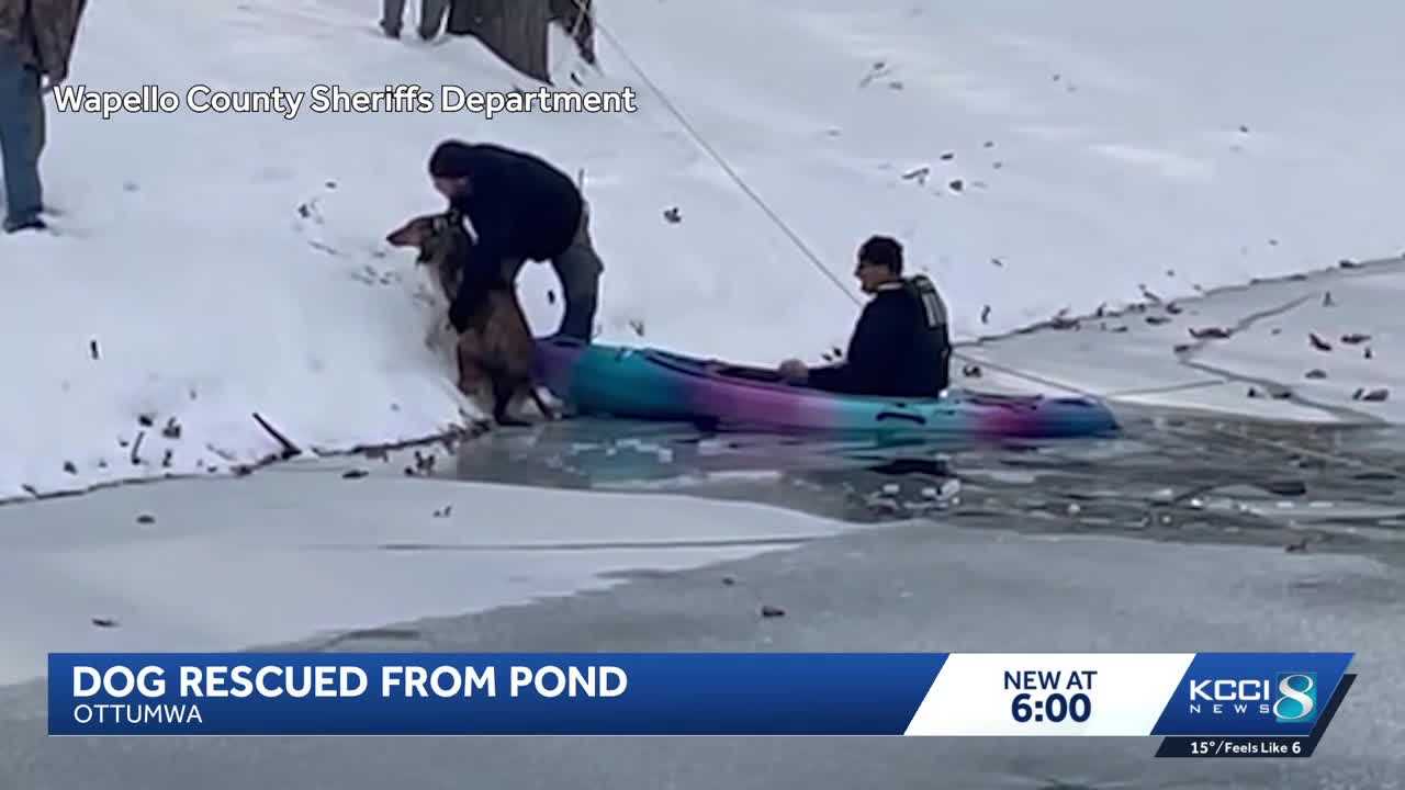 Watch: Quick-thinking rescuers save freezing dog from icy Iowa pond