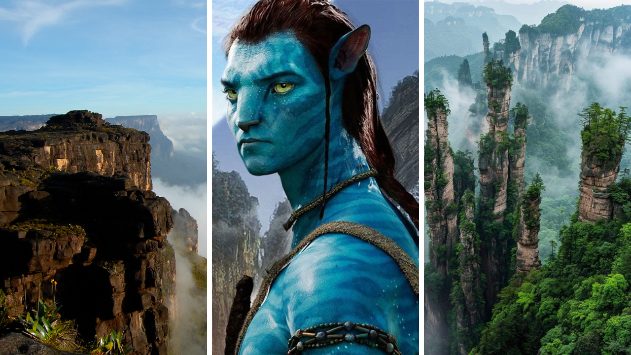Avatar filming locations: Explore the real places behind the film