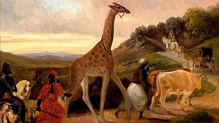 Az év, amikor Párizs tele lett zsiráfnőkkel