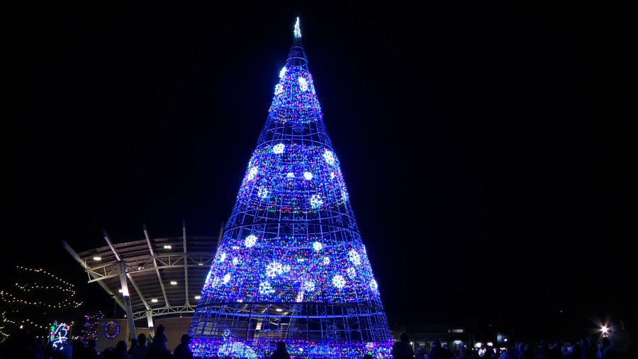 Columbia County kicks off the holiday season with annual Christmas tree ...
