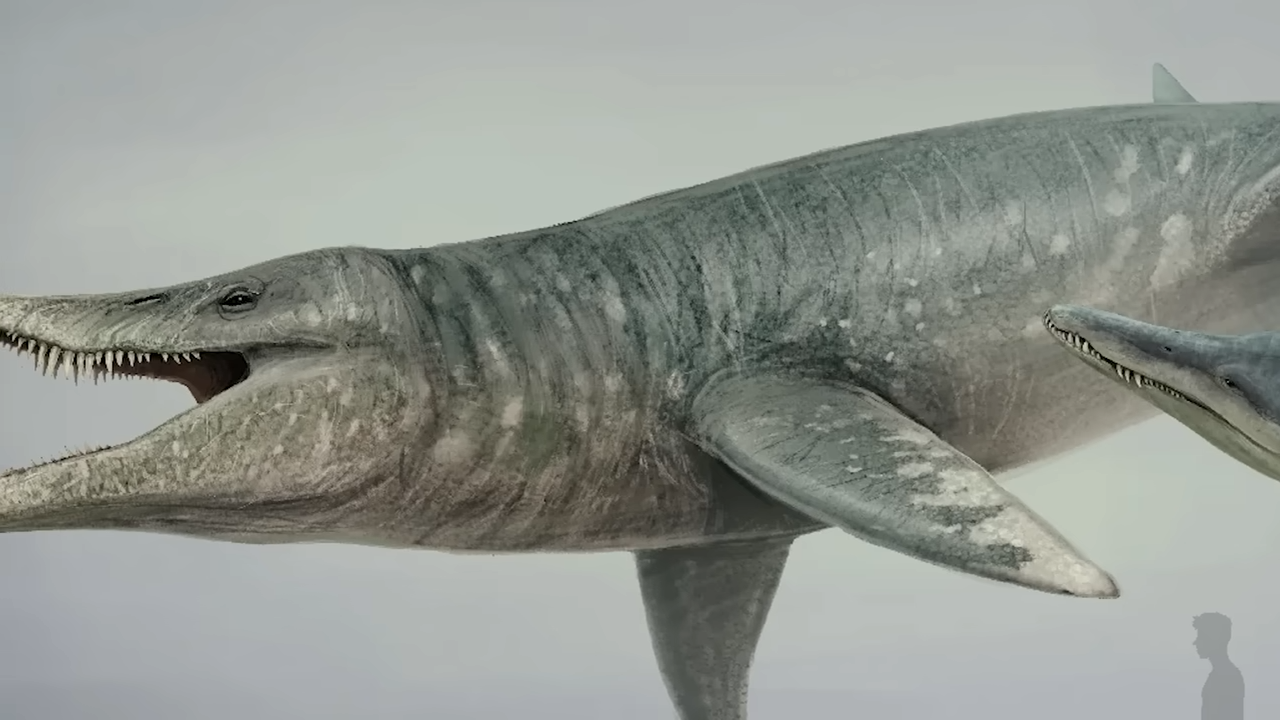 The real story behind the Liopleurodon and its reign of terror