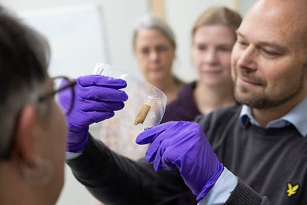 Ancient DNA reveals southern Africa’s hidden role in the rise of modern ...
