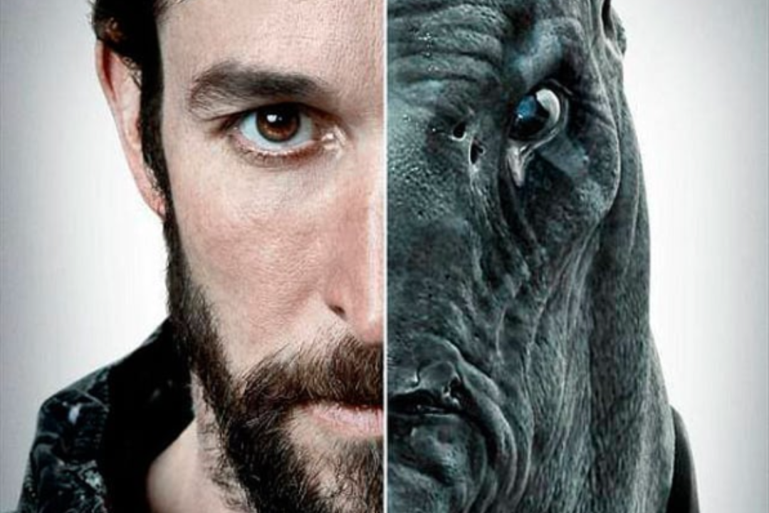 Steven Spielberg’s 'Falling Skies' on Netflix: Know everything about ...