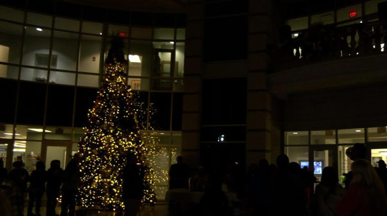 Bay County rings in the holiday season with annual tree lighting