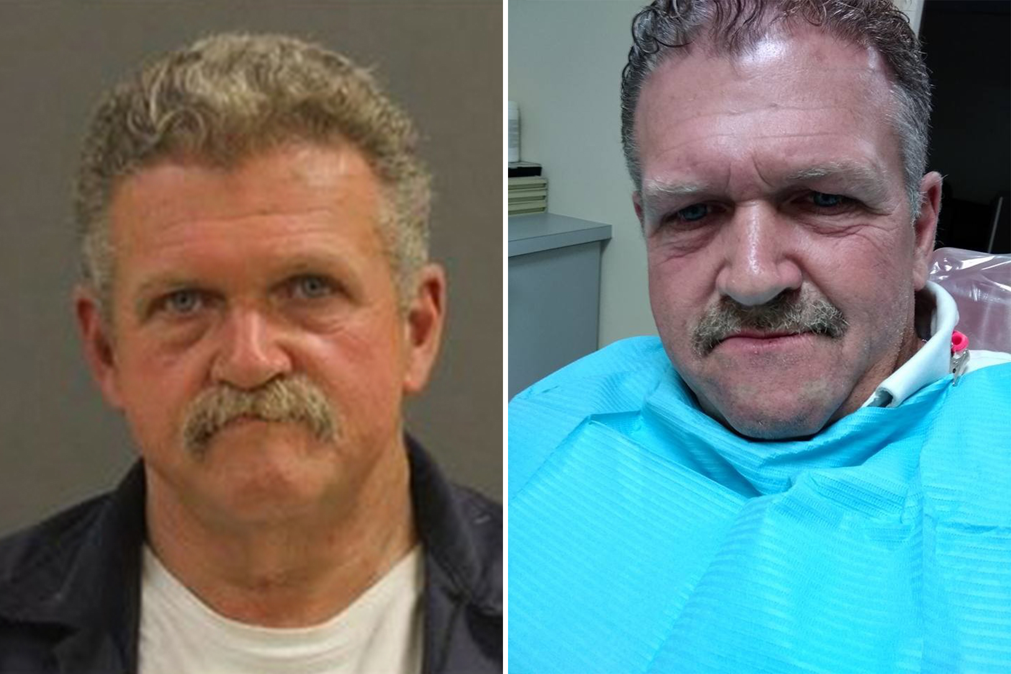 'Special place in hell' for man accused of killing pregnant dog: prosecutor