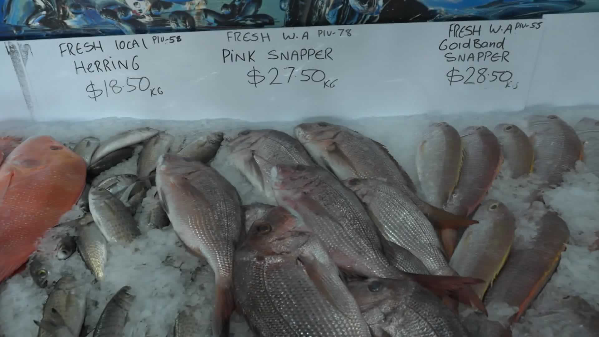 Diners and commercial fishers to feel impact of West Australian fishing ban