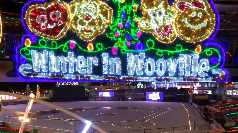 Polar Park becomes a winter wonderland with 'Winter in Wooville'