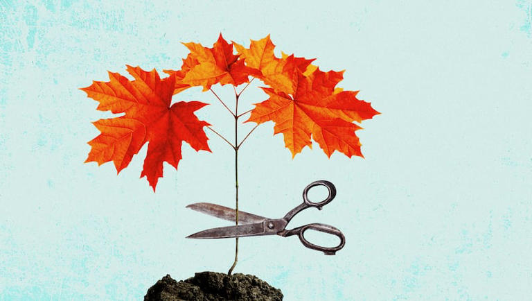 Opt in or opt out? Inside the quiet abortion debate facing young doctors