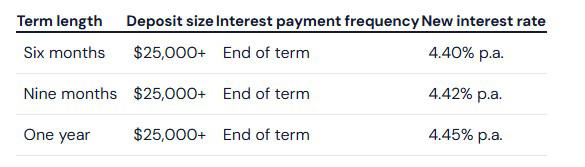 ANZ, Heartland Bank hike term deposit rates, big new rates elsewhere