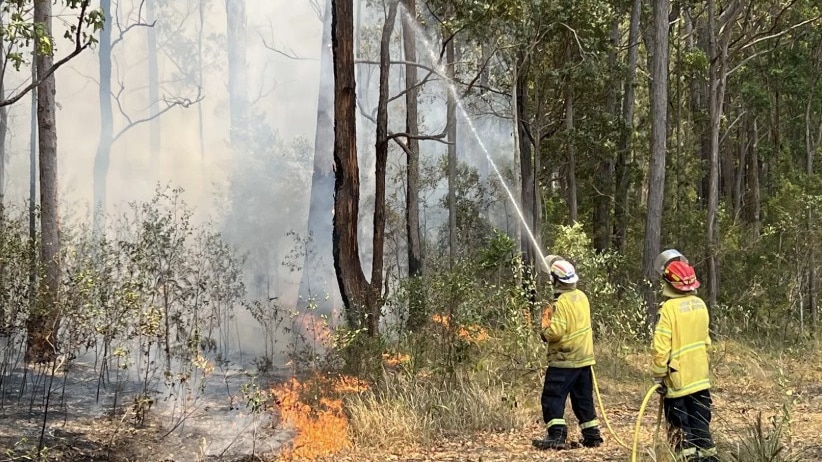 Bushfire warnings issued for much of NSW as heatwave hits state