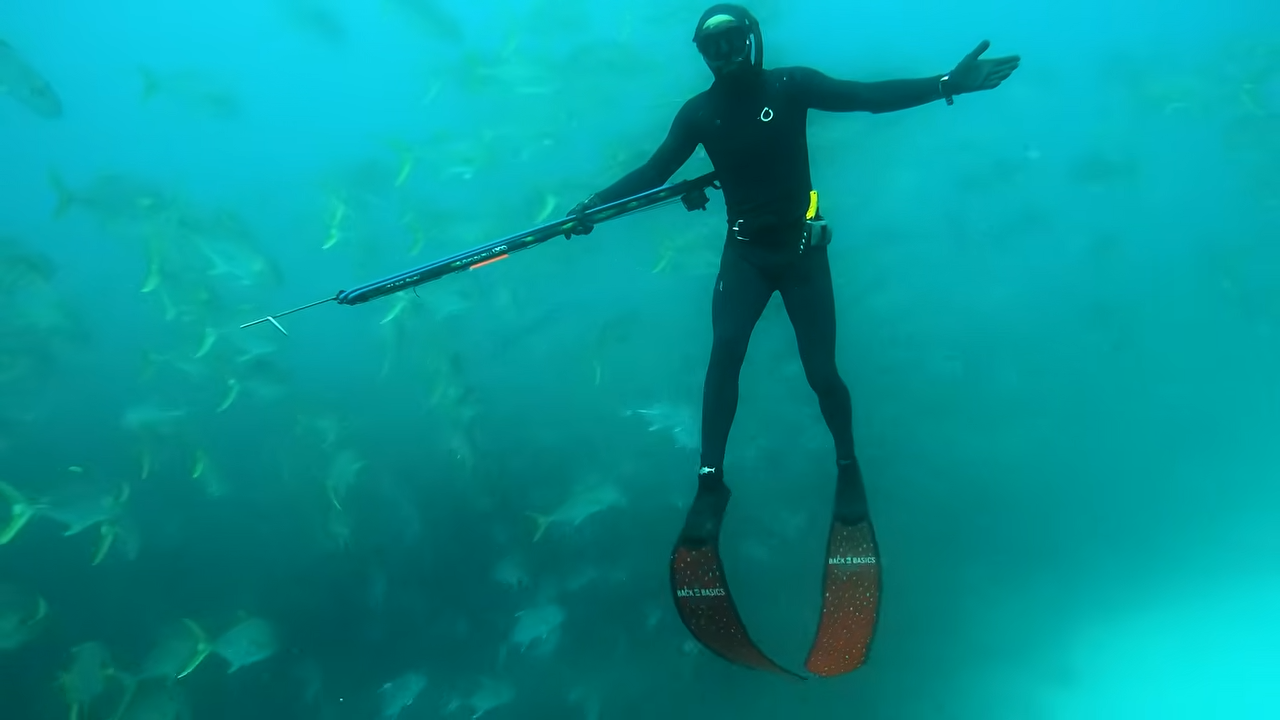 How camping over open water turns intense when predators move through ...