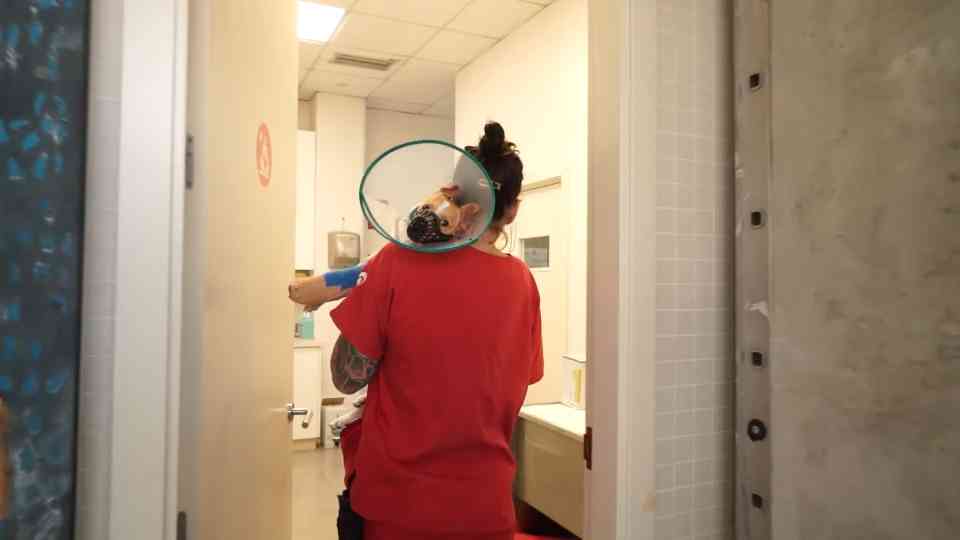 Abused dog finally gets her second chance at life