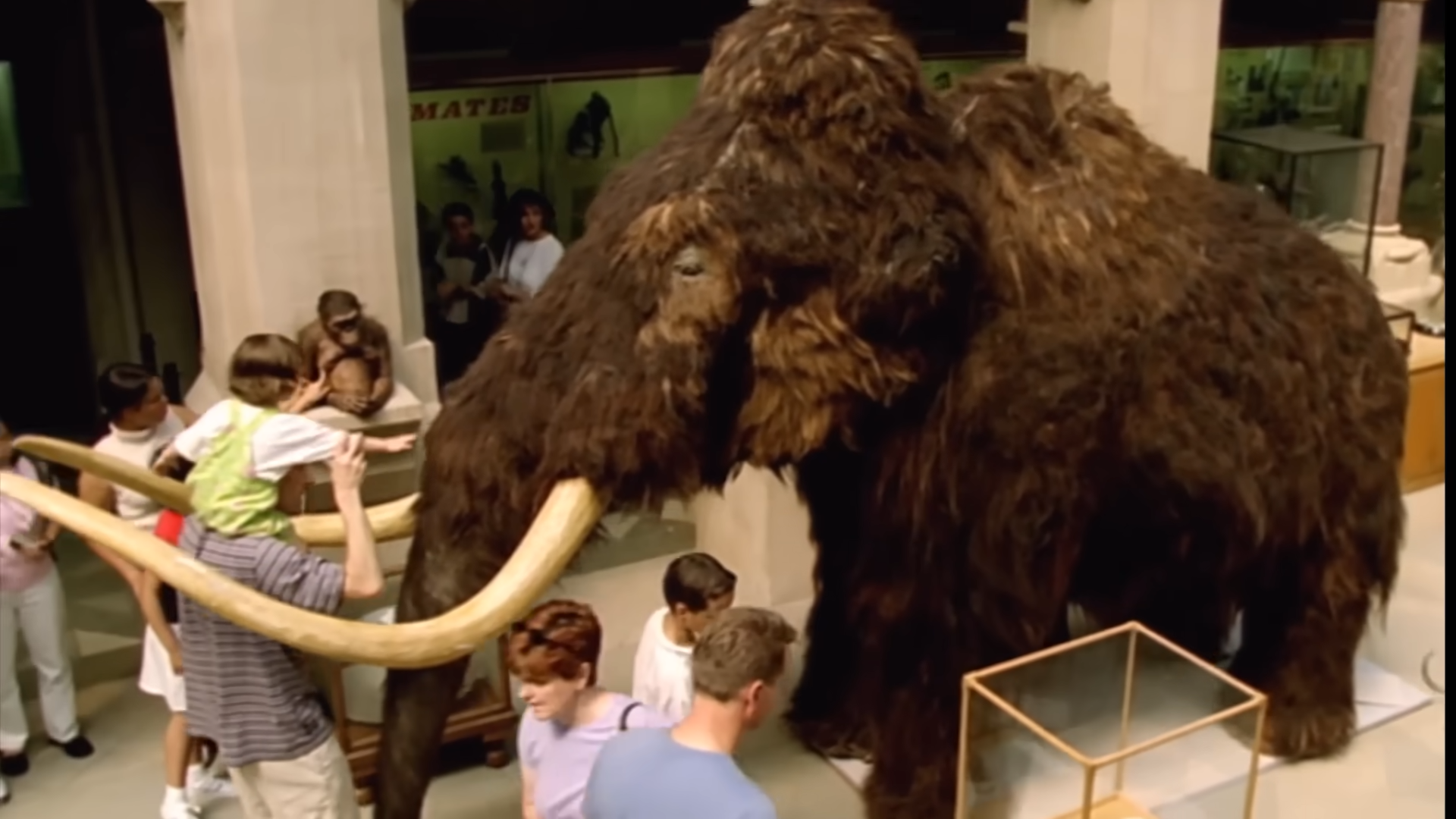 The science behind humanity’s overpowered evolution