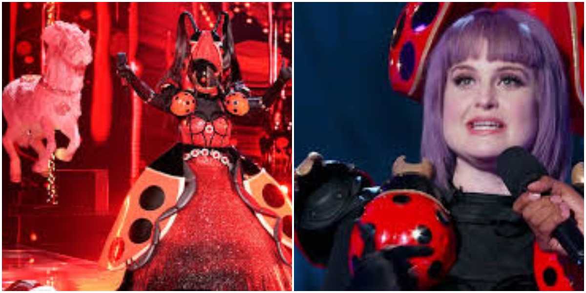 The Masked Singer season 14 theme nights revealed (SPOILERS)