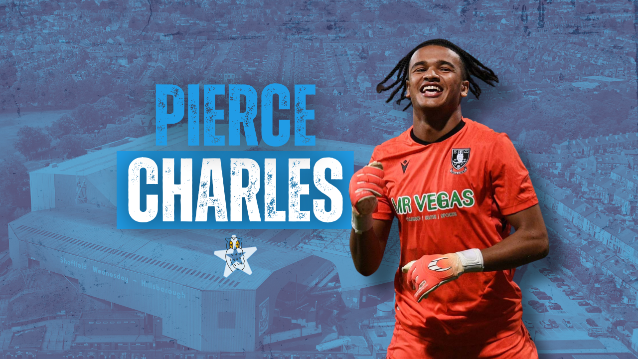 Sheffield Wednesday player ratings vs Watford as duo get 8/10 in late ...