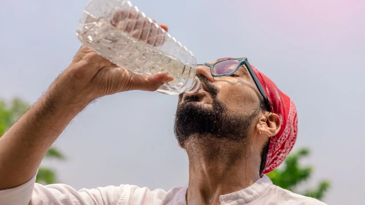 Are you reusing plastic bottles? Here’s how they can harm your health