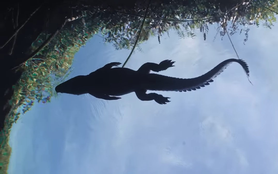 The terrifying sequence of disasters that sealed the dinosaurs’ fate