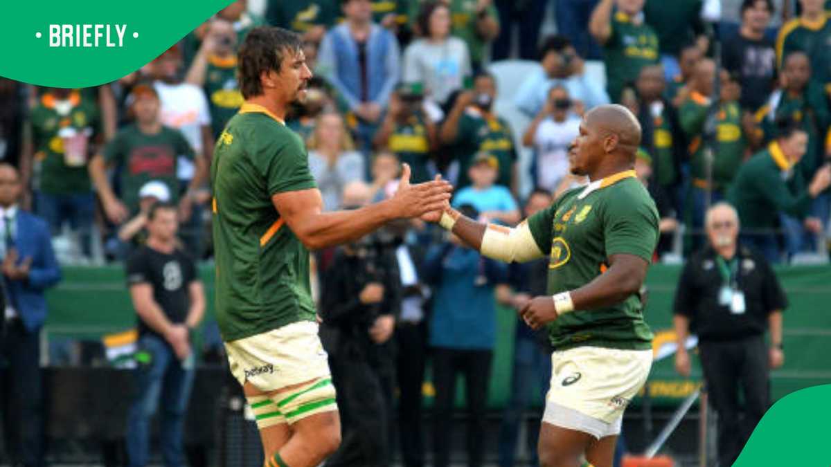 Springboks star Eben Etzebeth will miss key Champions Cup games after ...