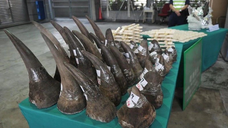 Two Nigerian nationals arrested in Gauteng after seizure of rhino horns ...