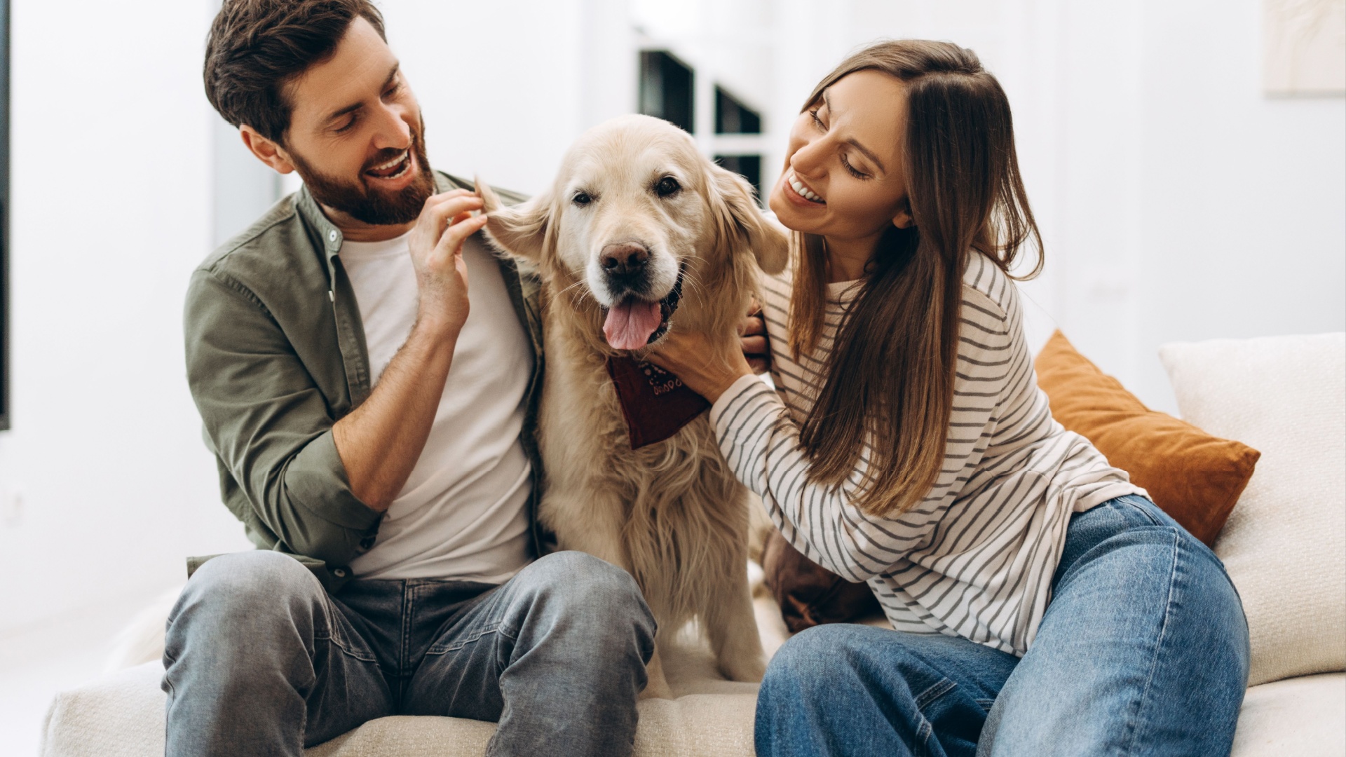 12 things you only know if you’re a dog owner