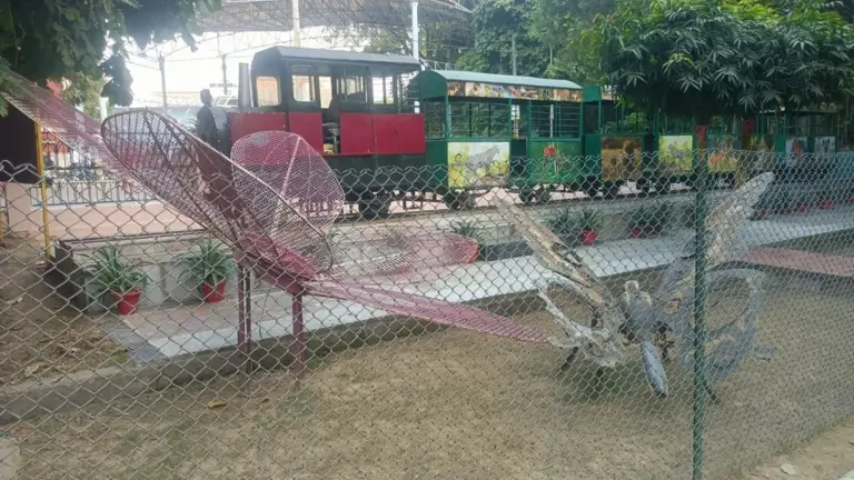 Lucknow Zoo set for eco-tourism makeover with new attractions worth Rs ...
