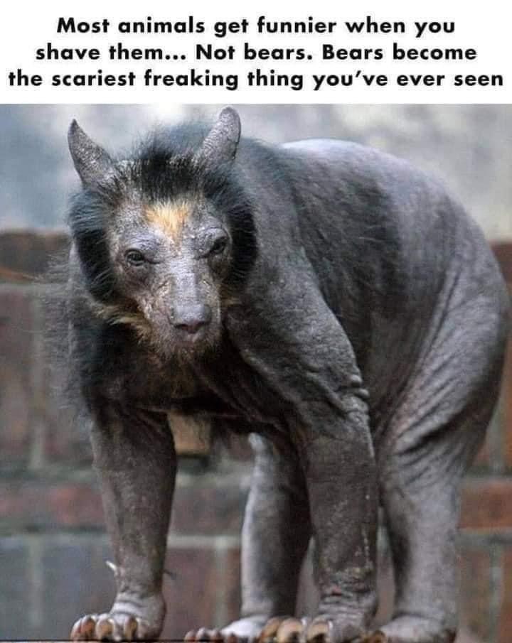 32 memes for a grand old time