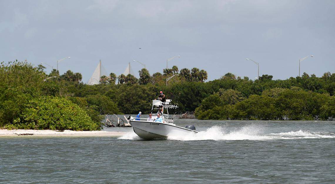 New Rattlesnake Key owner plans cruise terminal development near Skyway ...