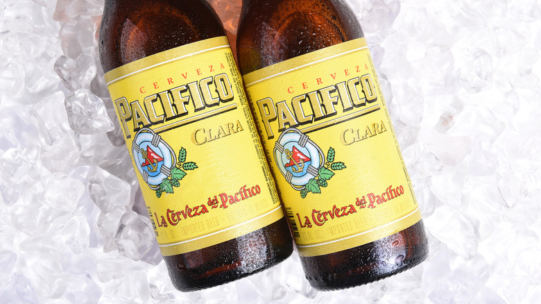 14 cheap but delicious beers you'll wish you tried sooner