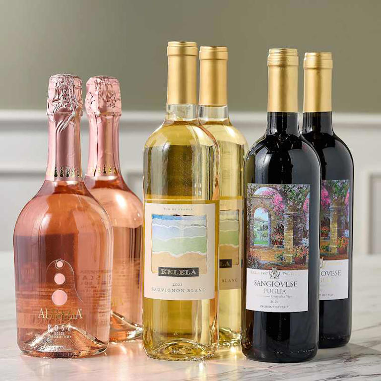 The Martha Stewart wine set friends and family will want to find under ...