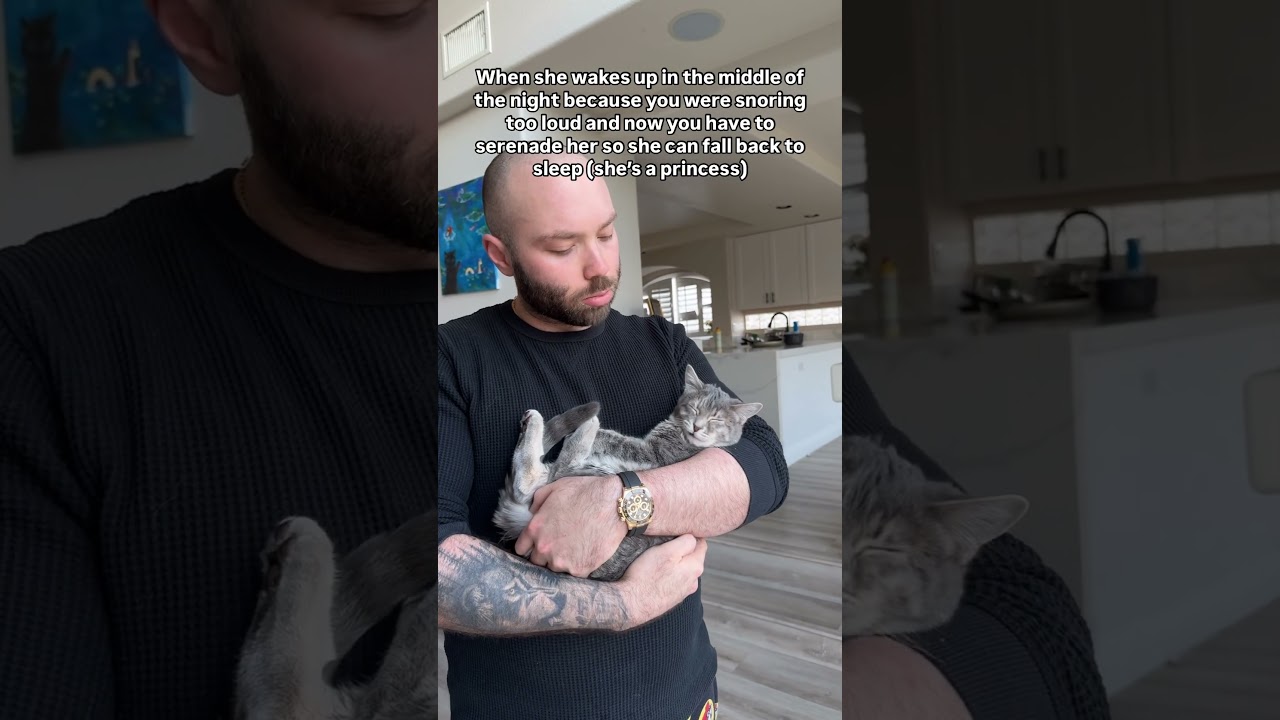 Helpful owner sings a sweet song to an angry cat