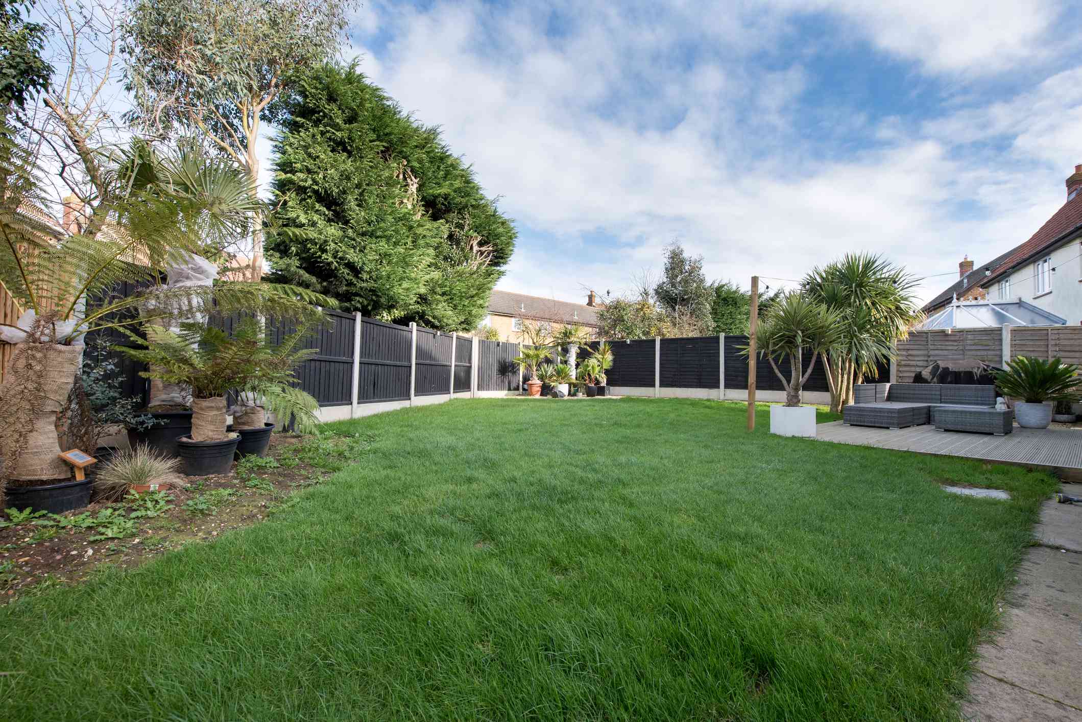 Can you trim a neighbor’s tree that hangs over your yard? We asked pros