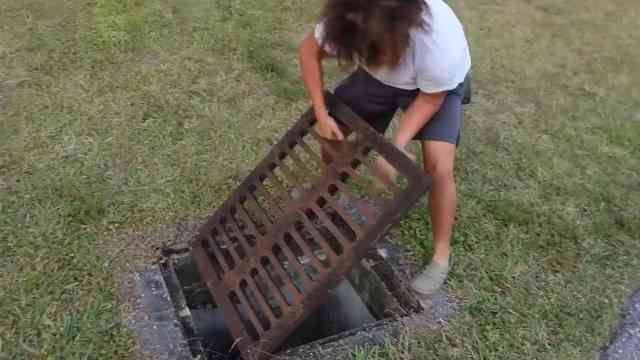 Sewer filled with exotic aquarium fish