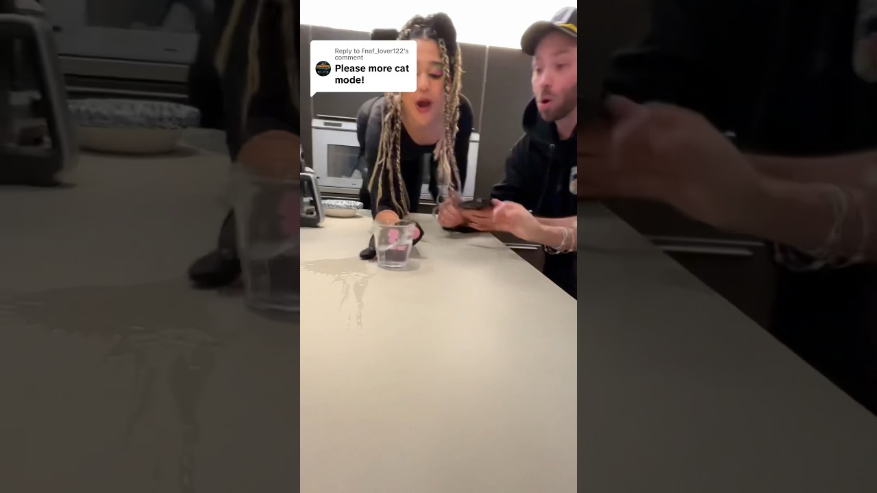 See the absolute chaos that occurs when people act like cats