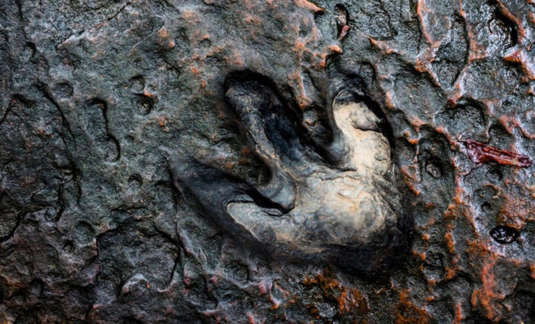 16,600 ghosts frozen in stone: Scientists uncover the largest gathering ...