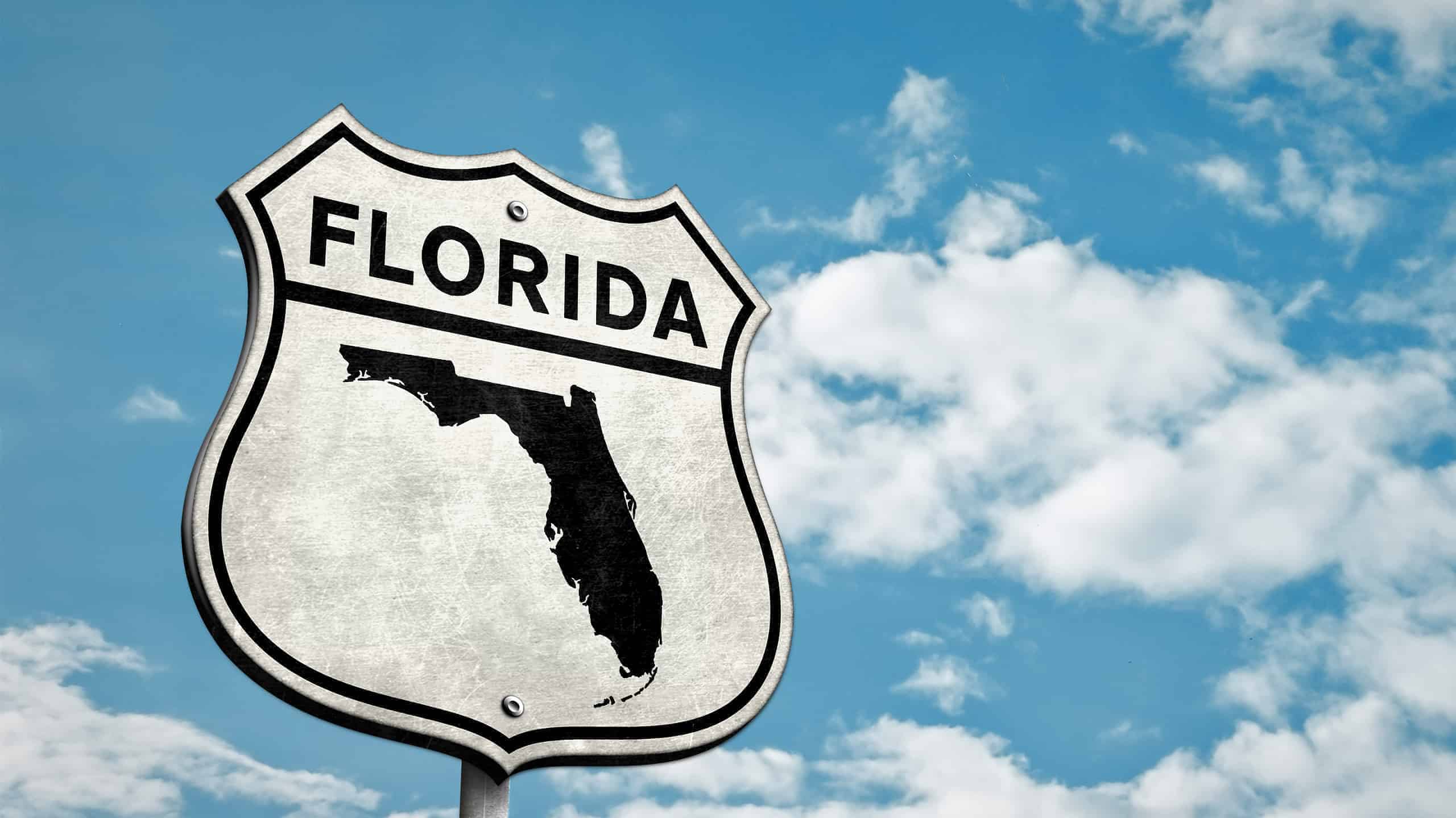 The weird and wonderful things you can see in Florida
